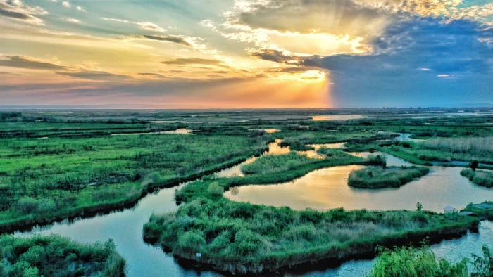 Excursii Delta Dunarii - DreamTrip.ro - aventuri de neuitat!